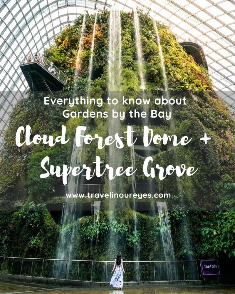 Gardens by the Bay, Supertree Grove + Cloud Forest Dome - Travel In Our ...